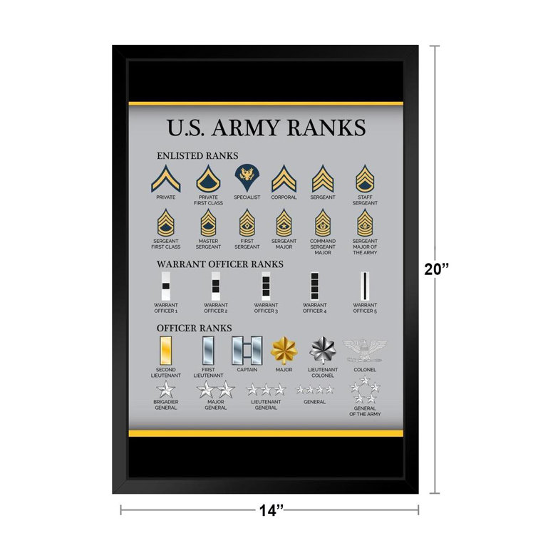 Trinx United States Army Rank Chart Reference Enlisted Officer NCO ...