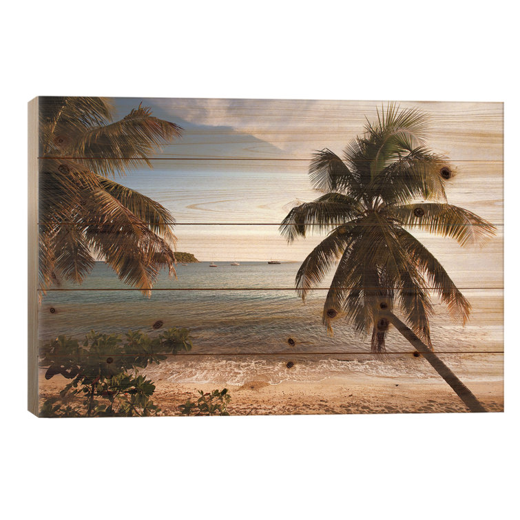 Rosecliff Heights Palm Trees On Beach At Sunset, Culebra Island, Puerto ...