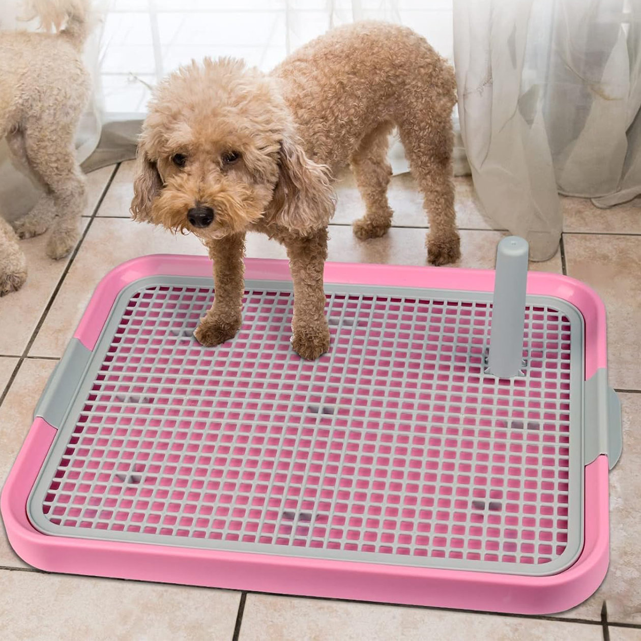 Archie & Oscar™ Dog Potty Tray Toilet 20"x14" Doggy Bathroom Dog Litter ...