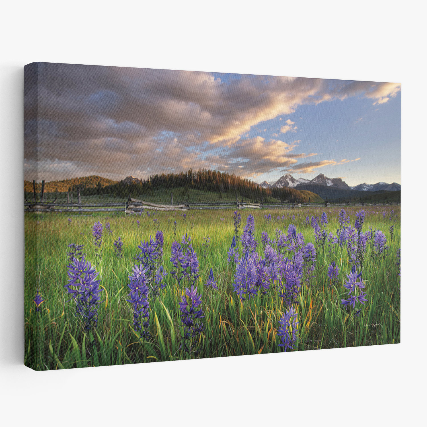 Latitude Run® Camas Meadows - Blue Camas Fields Florals Art | Wayfair