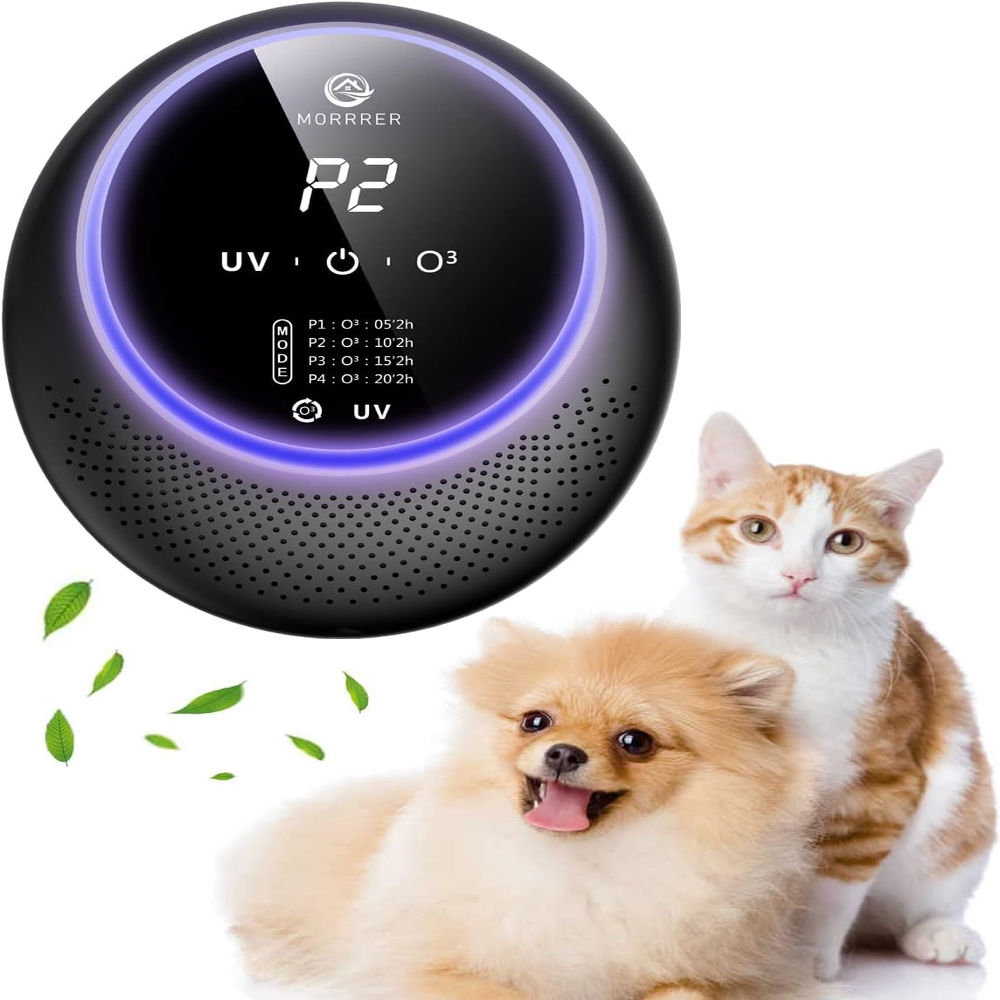 Cozy Oasis Polyethylene Plastic Air Filter | Wayfair