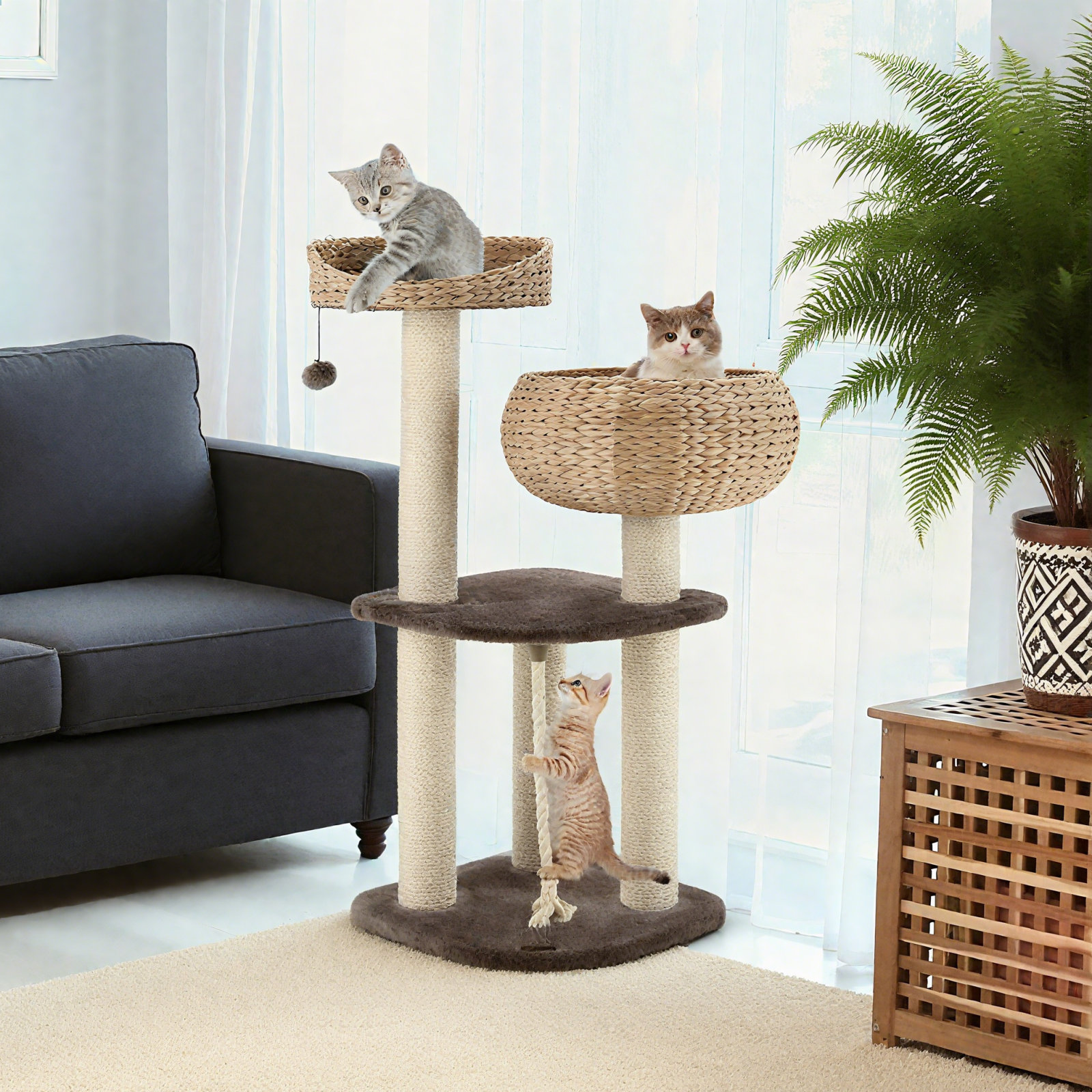 Tucker Murphy Pet™ Modern 41 Inch Cat Tree With Hand-Woven Wicker Condo ...