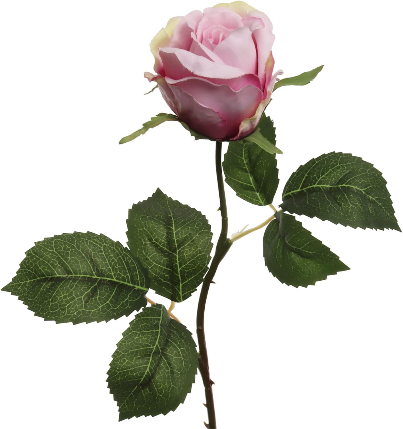Larksilk 20" Rose Bud Stem - 12 Pack | Wayfair