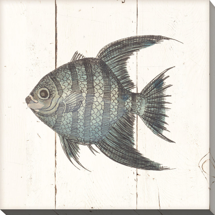 Breakwater Bay 'Fish Sketches II Shiplap' Drawing Print on Canvas | Wayfair