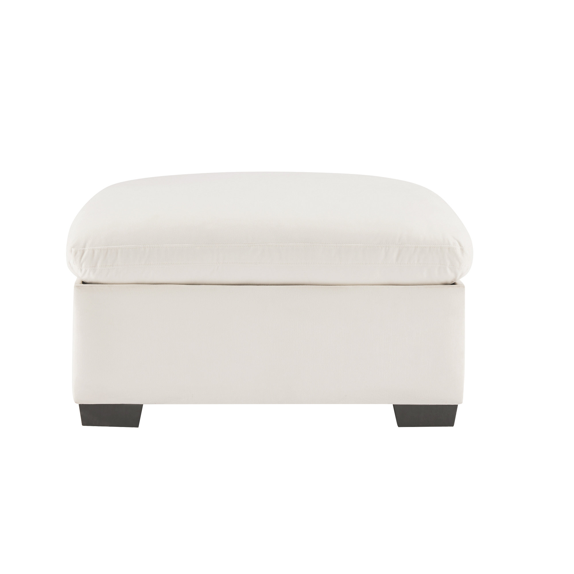 Latitude Run® Cloudies Storage Ottoman | Wayfair
