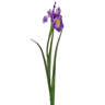 Primrue Purple Dutch Iris Stem Artificial Flower | Wayfair