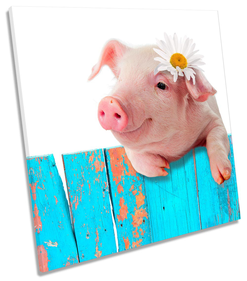 Happy Larry Cute Pig Daisy Flower Print CANVAS WALL ART Square Picture ...