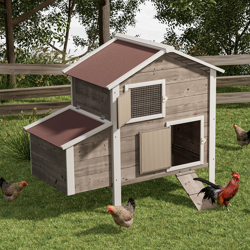 Tucker Murphy Pet™ 50" Wooden Weather Resistant Chicken Coop Henhouse ...