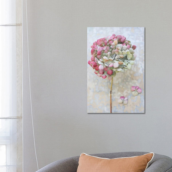 Ebern Designs Pastel Dried Hydrangea II by Alyson Fennell - Wrapped ...