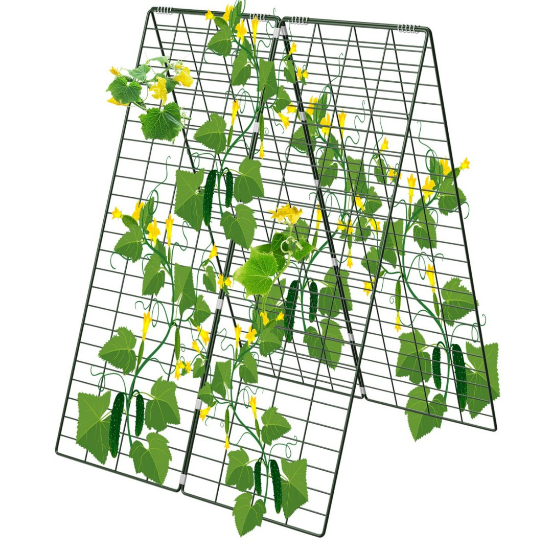 Arlmont & Co. 34" X 48" Foldable Cucumber Trellis With Garden Stakes ...