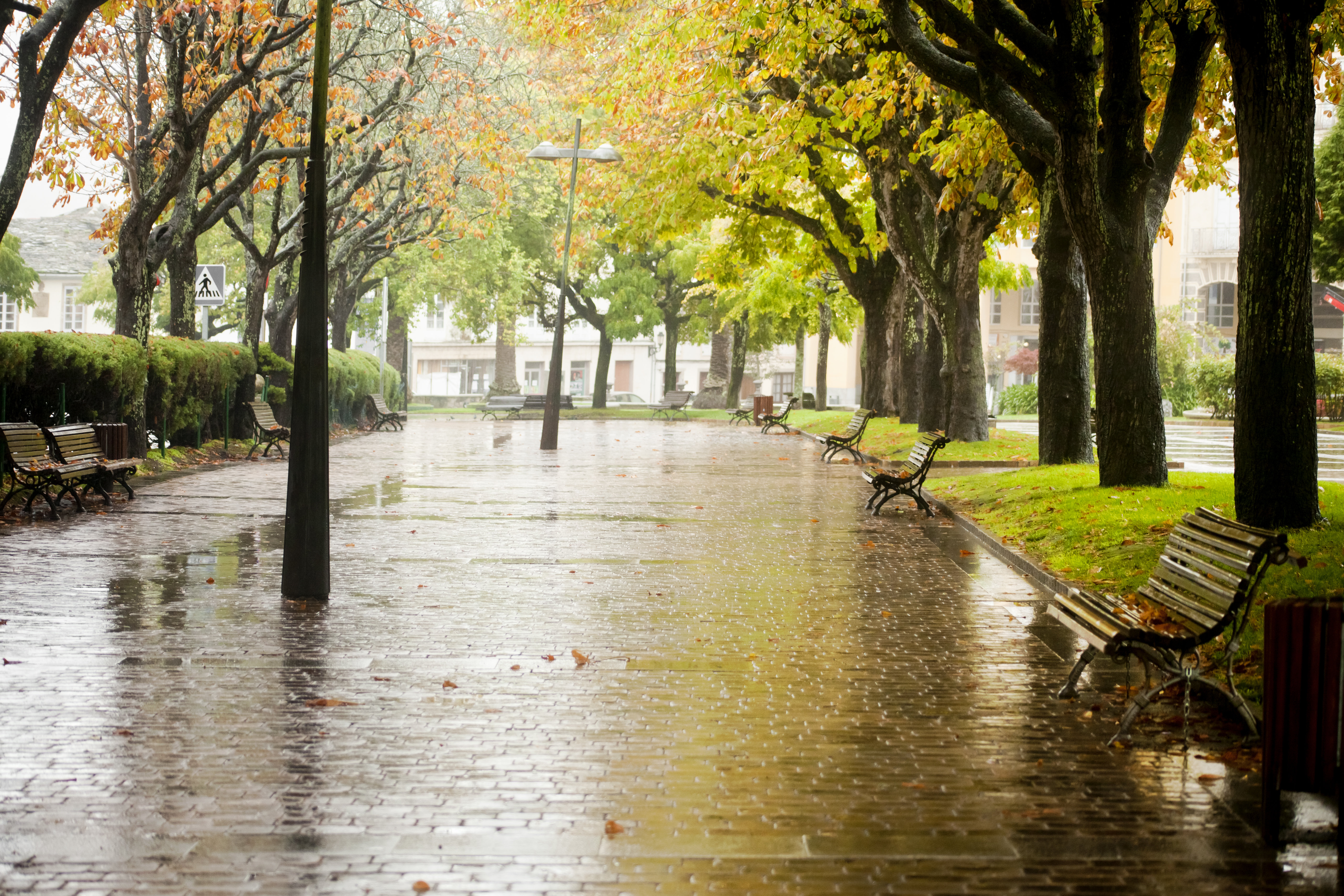 Ebern Designs «Autumn Time in The City» par Percds - Wayfair Canada