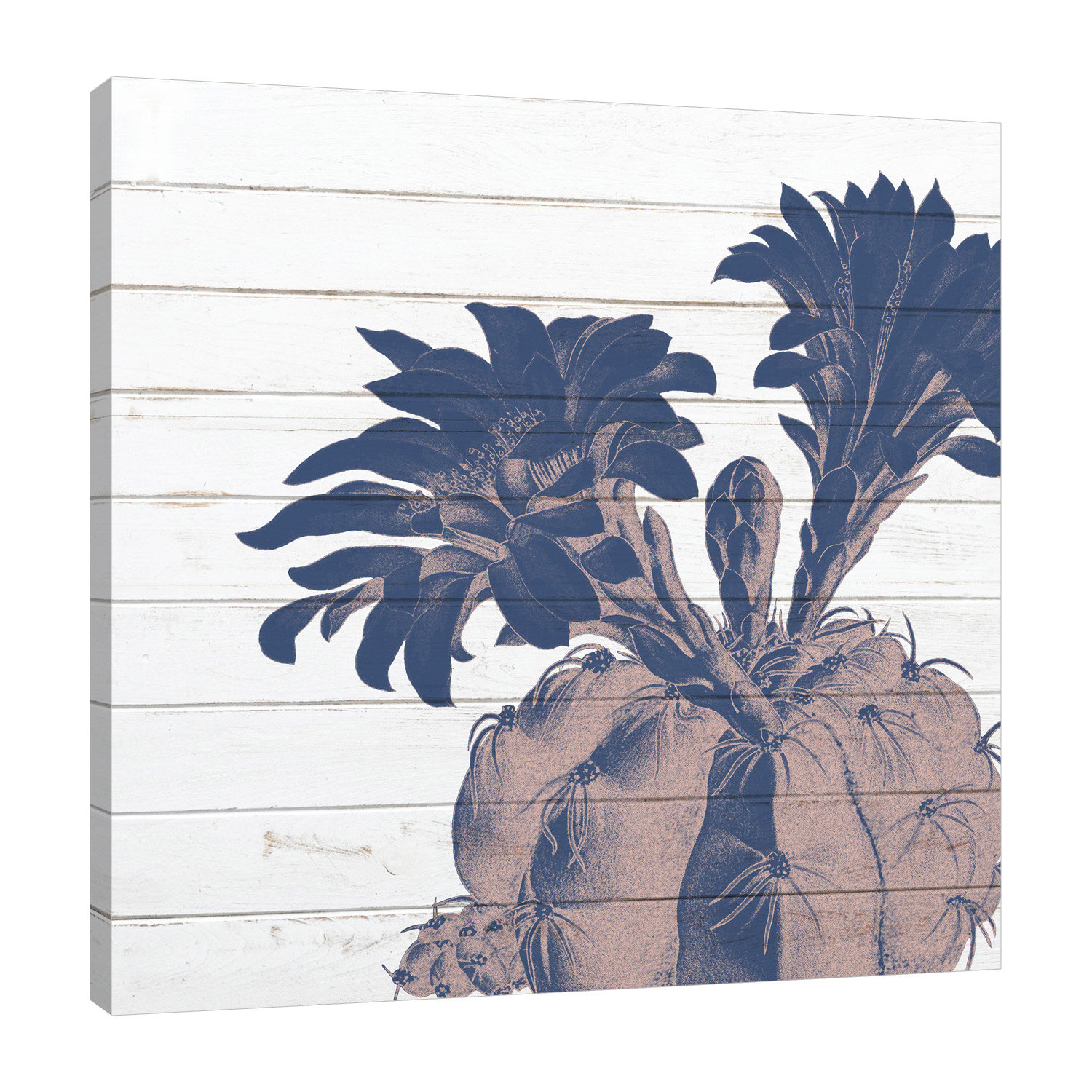 Jaxson Rea "Desert Flower 3" Gallery Wrapped Canvas By Kimberly Allen ...