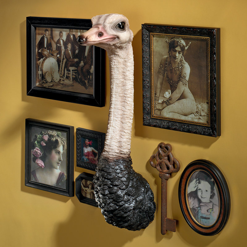 Design Toscano Ostrich Bird Trophy Wall Sculpture & Reviews | Wayfair