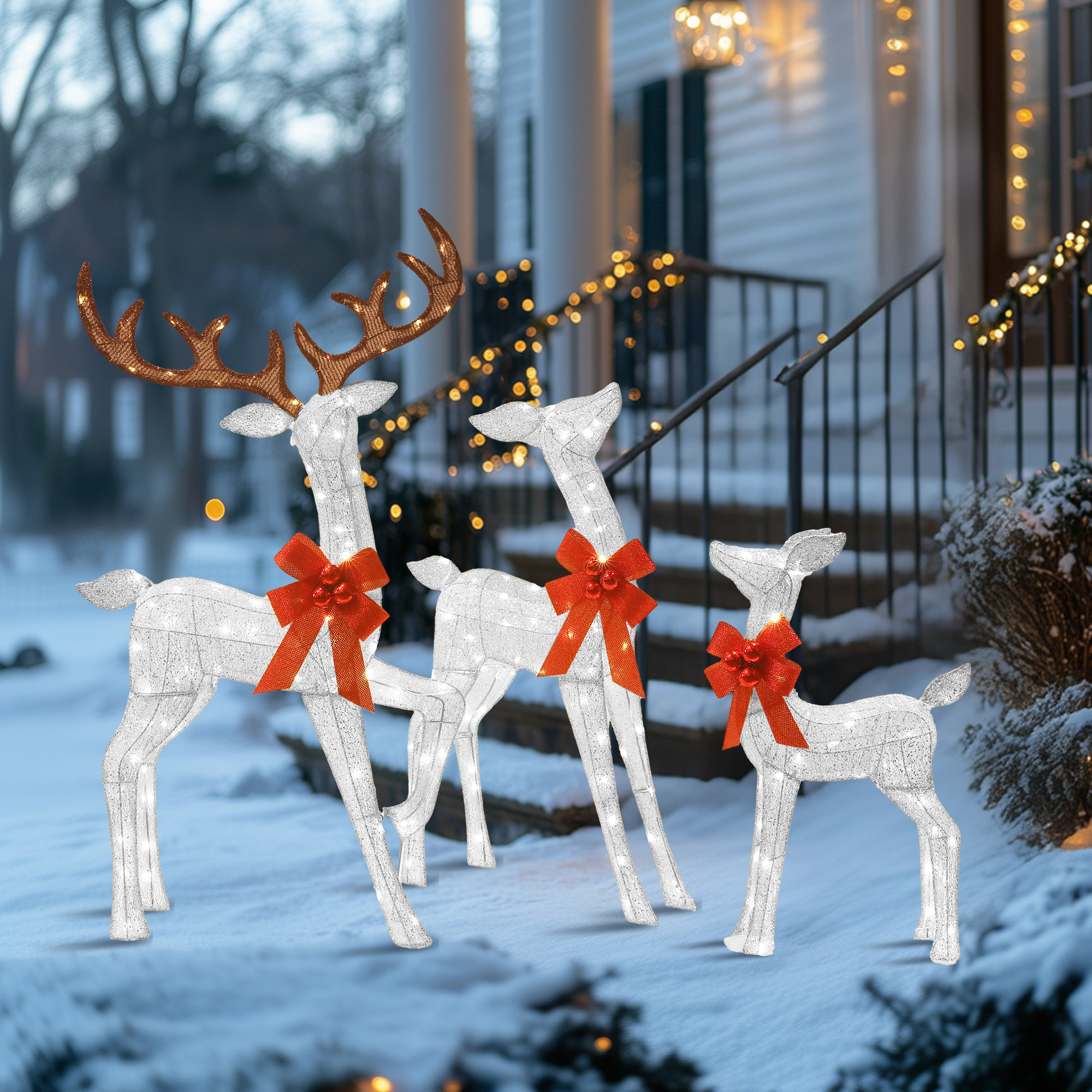 The Holiday Aisle® Hutto 3 Piece 3D Reindeer Family Lighted Christmas ...