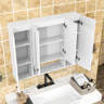 Winston Porter Modern Wall-Mounted Bathroom Cabinet with 5 Adjustable ...