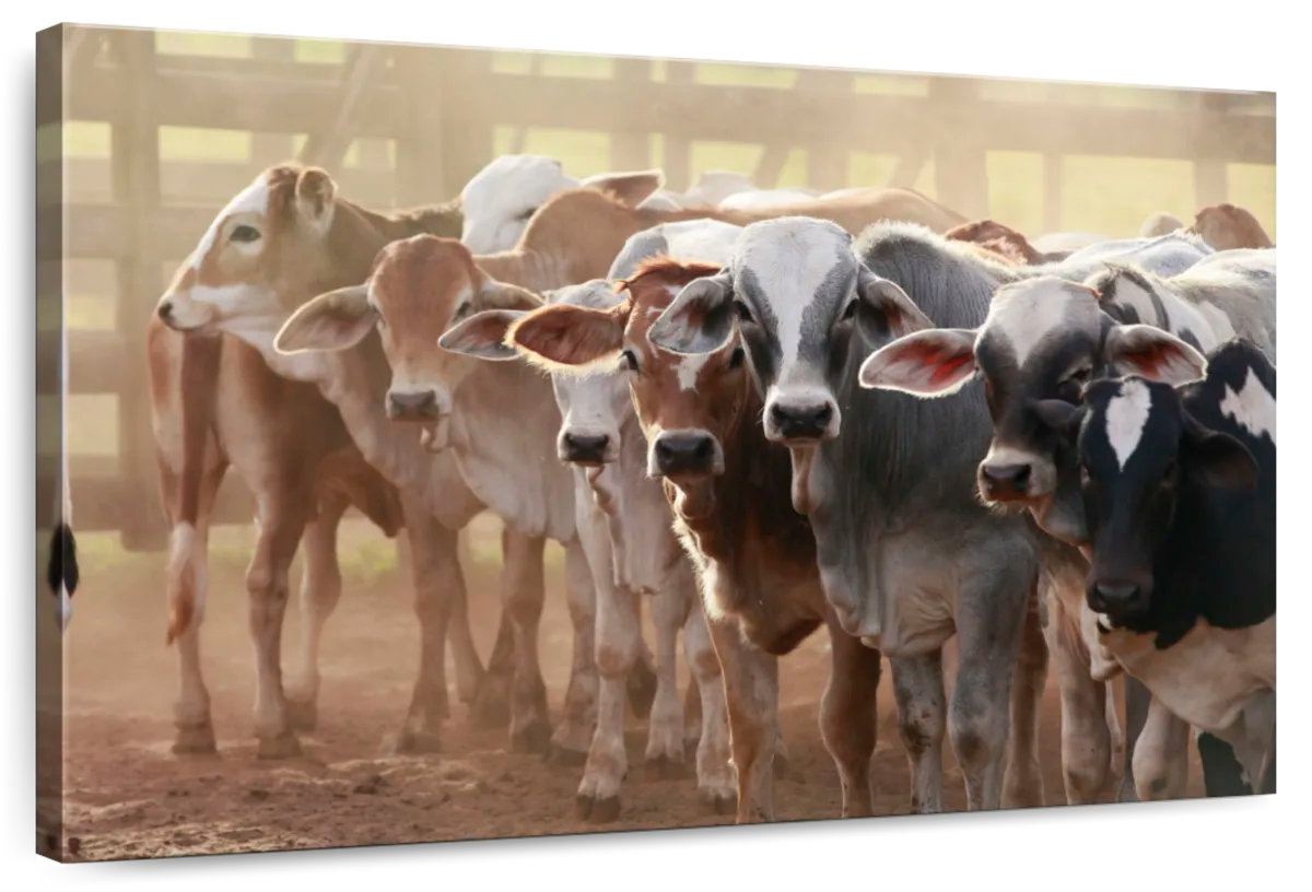 Ebern Designs Jersey Cow Line Up - Wayfair Canada