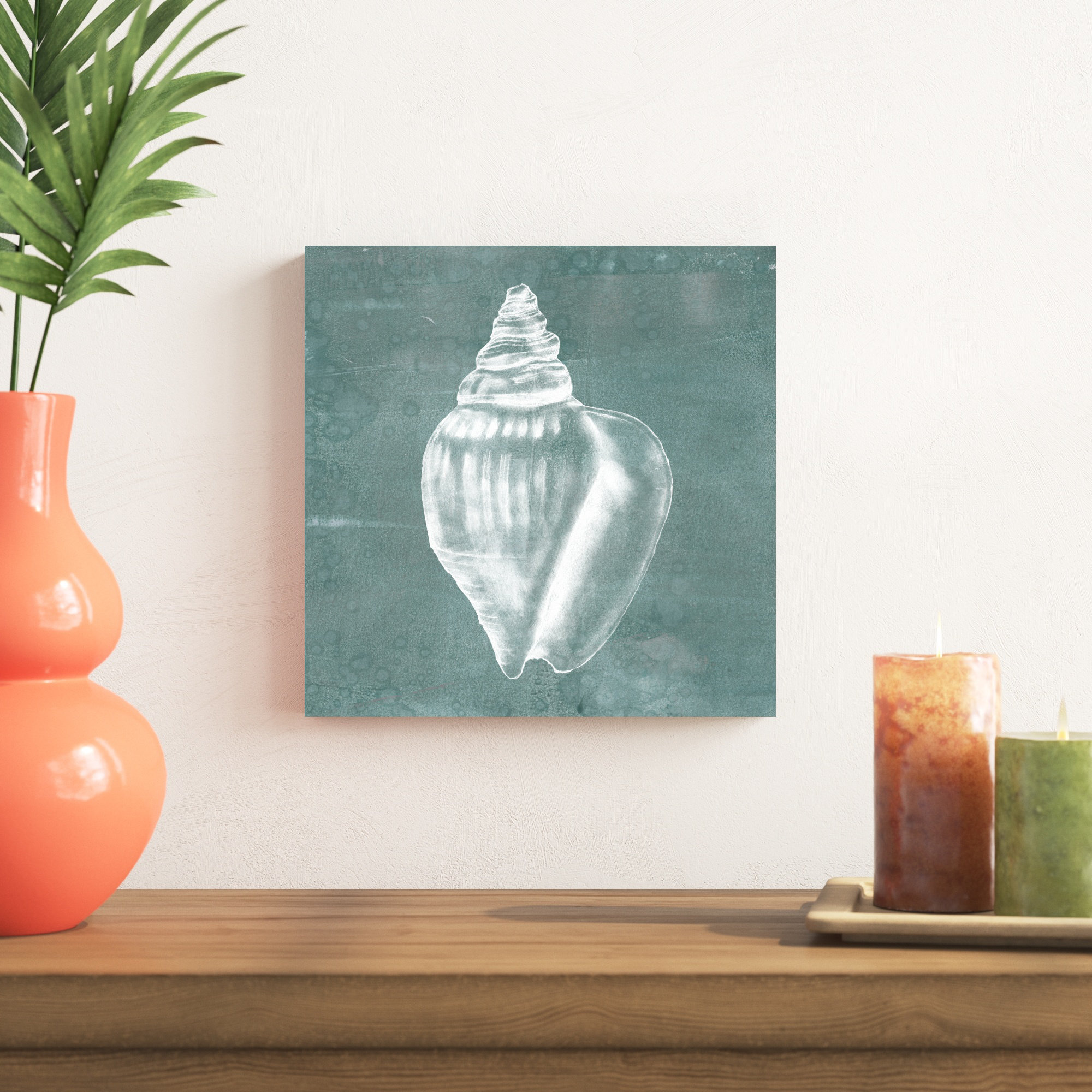 Rosecliff Heights Solitary Shell II by Jennifer Goldberger - Wrapped ...