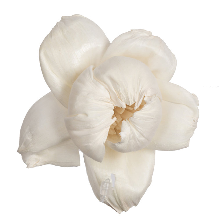 Vickerman Preserved Rosette Arrangement | Wayfair