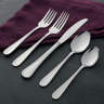 Oneida Flight 65 Piece Everyday Flatware Set & Reviews | Wayfair