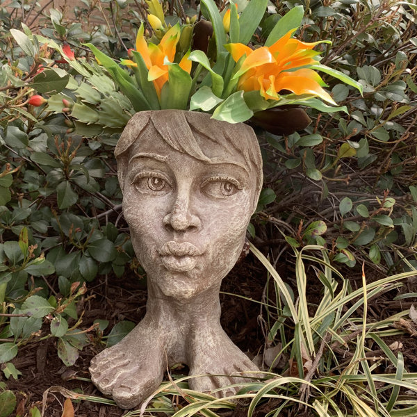 HomeStyles Muggly's Aunt Tia Maria Face Statue Planter & Reviews | Wayfair