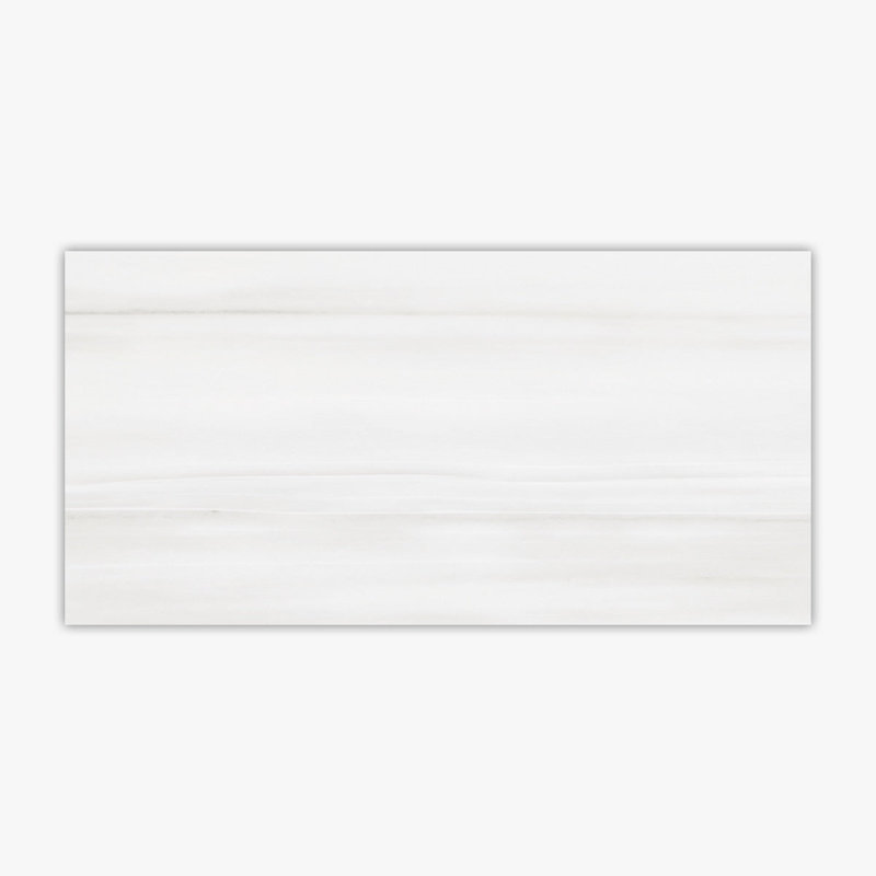 Direct Stone Source 12" x 24" Porcelain Wall & Floor Tile | Wayfair