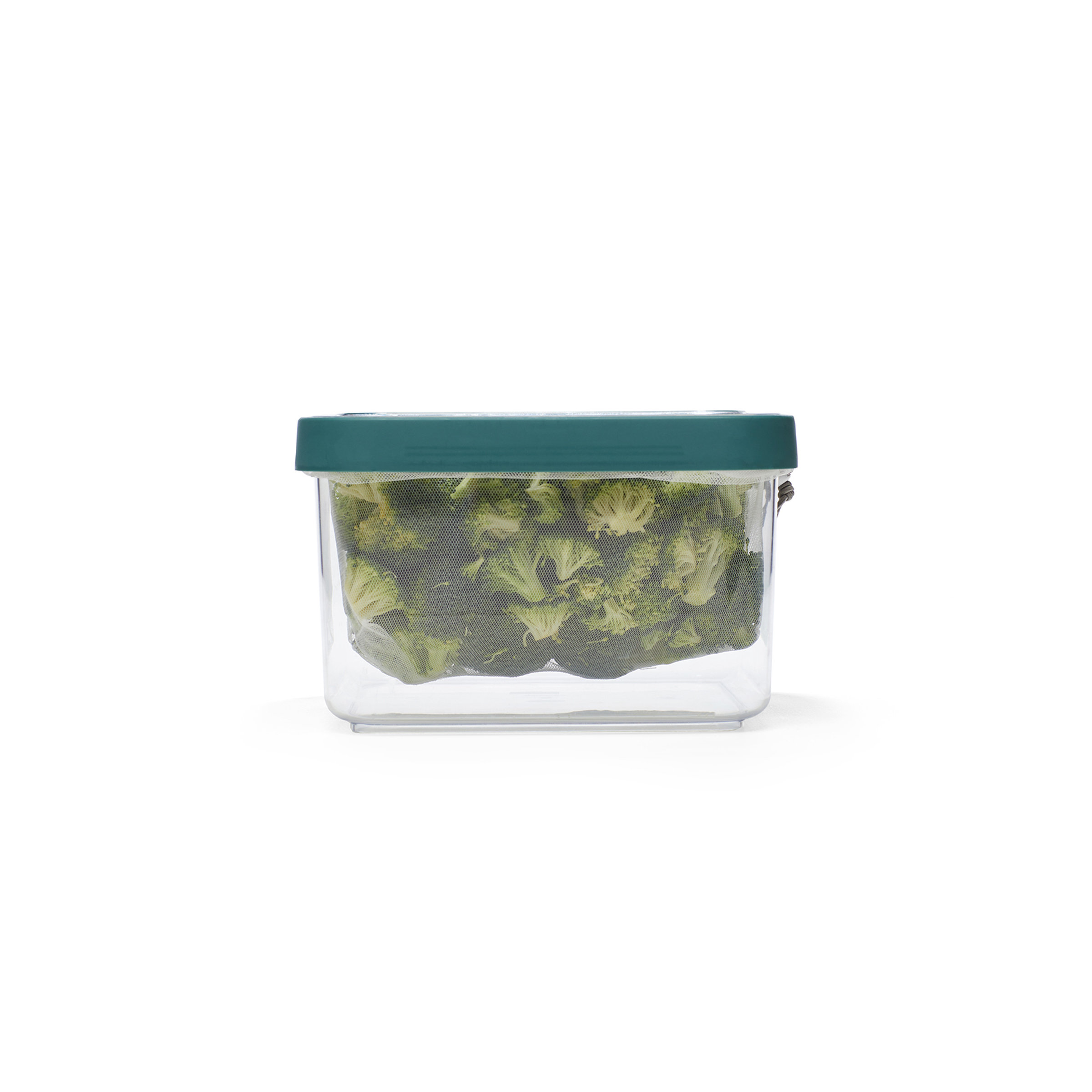 Chef'N Fresh Fruit & Veggie Storage Container with Bag | Wayfair