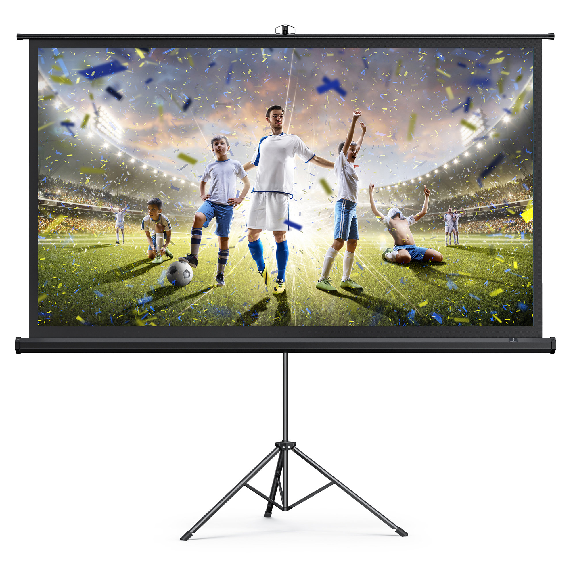 Taotronics Projector Screen | Wayfair