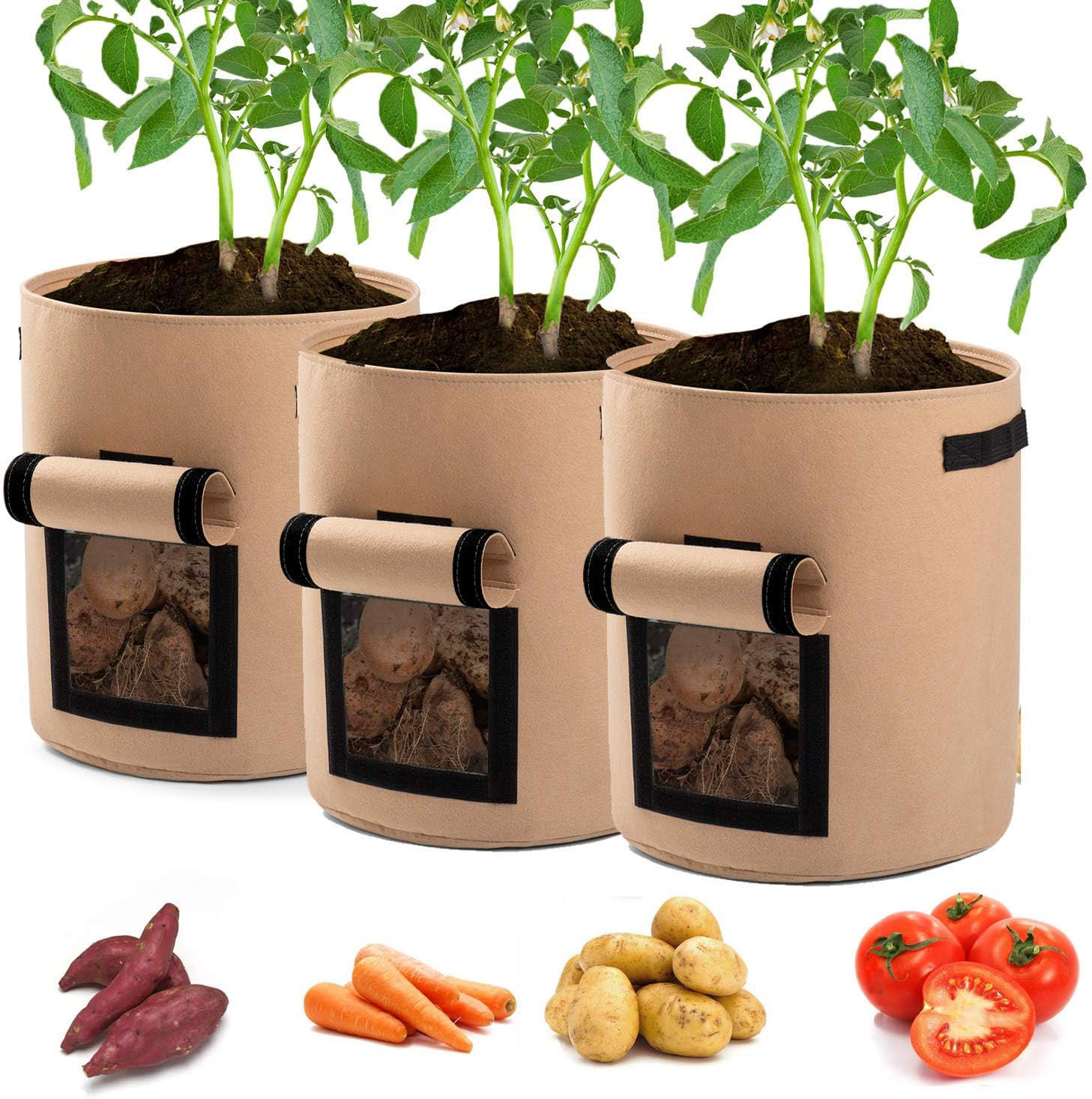 Ebern Designs Potato Planter Bags 3-Pack 7 Gallons Grow Bags Aeration ...