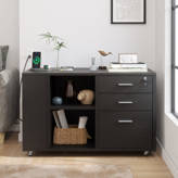 Latitude Run® 2 - Drawer Filing Storage Cabinet & Reviews | Wayfair