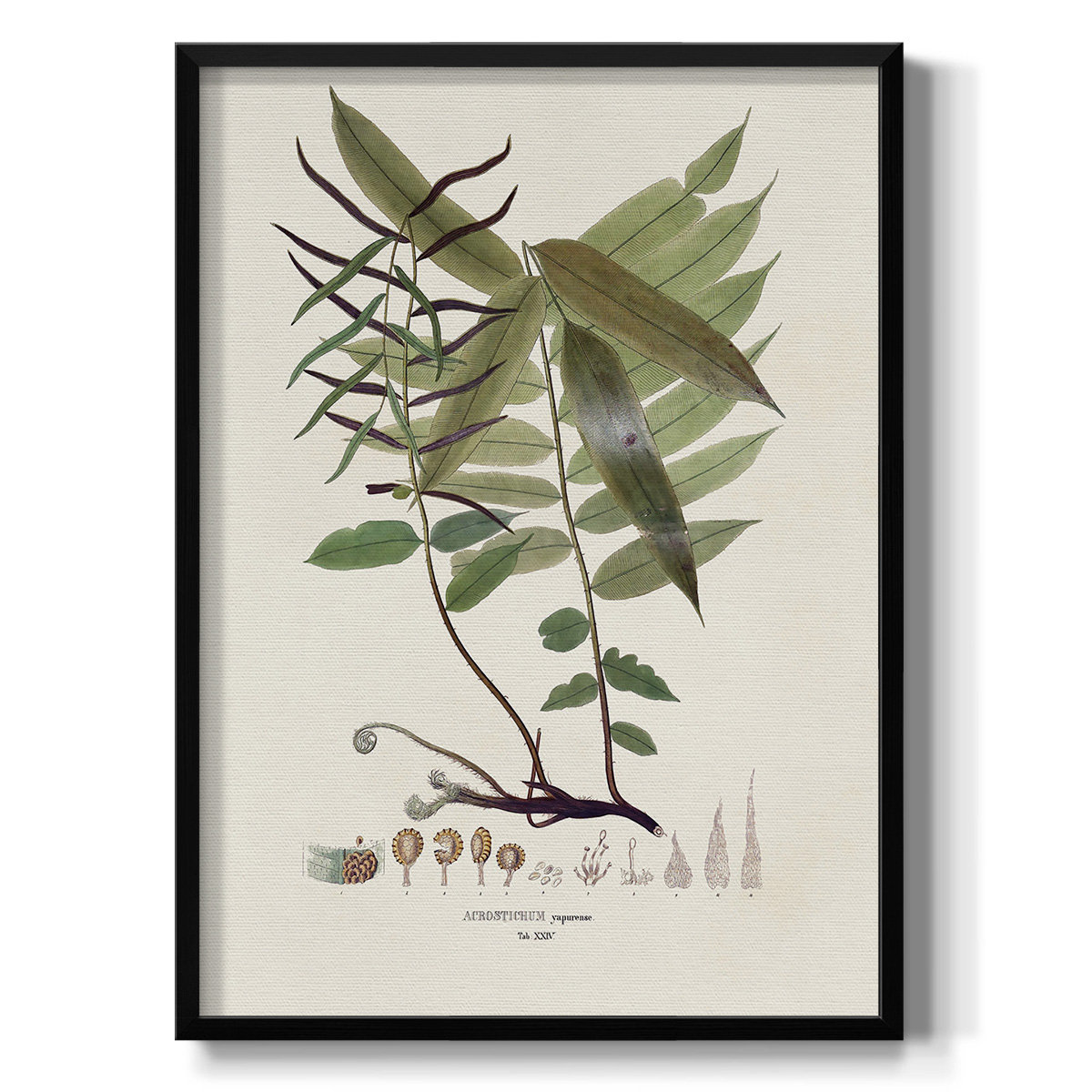 Winston Porter Bright Boy II Framed Print | Wayfair