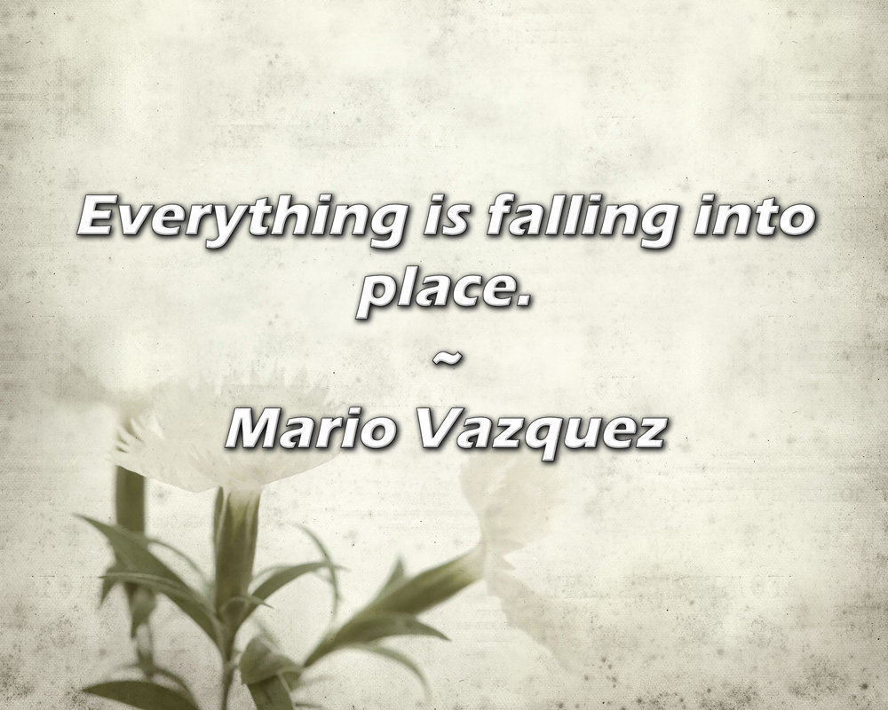 Trinx Mario Vazquez Quote: Everything is falling into place. | Wayfair