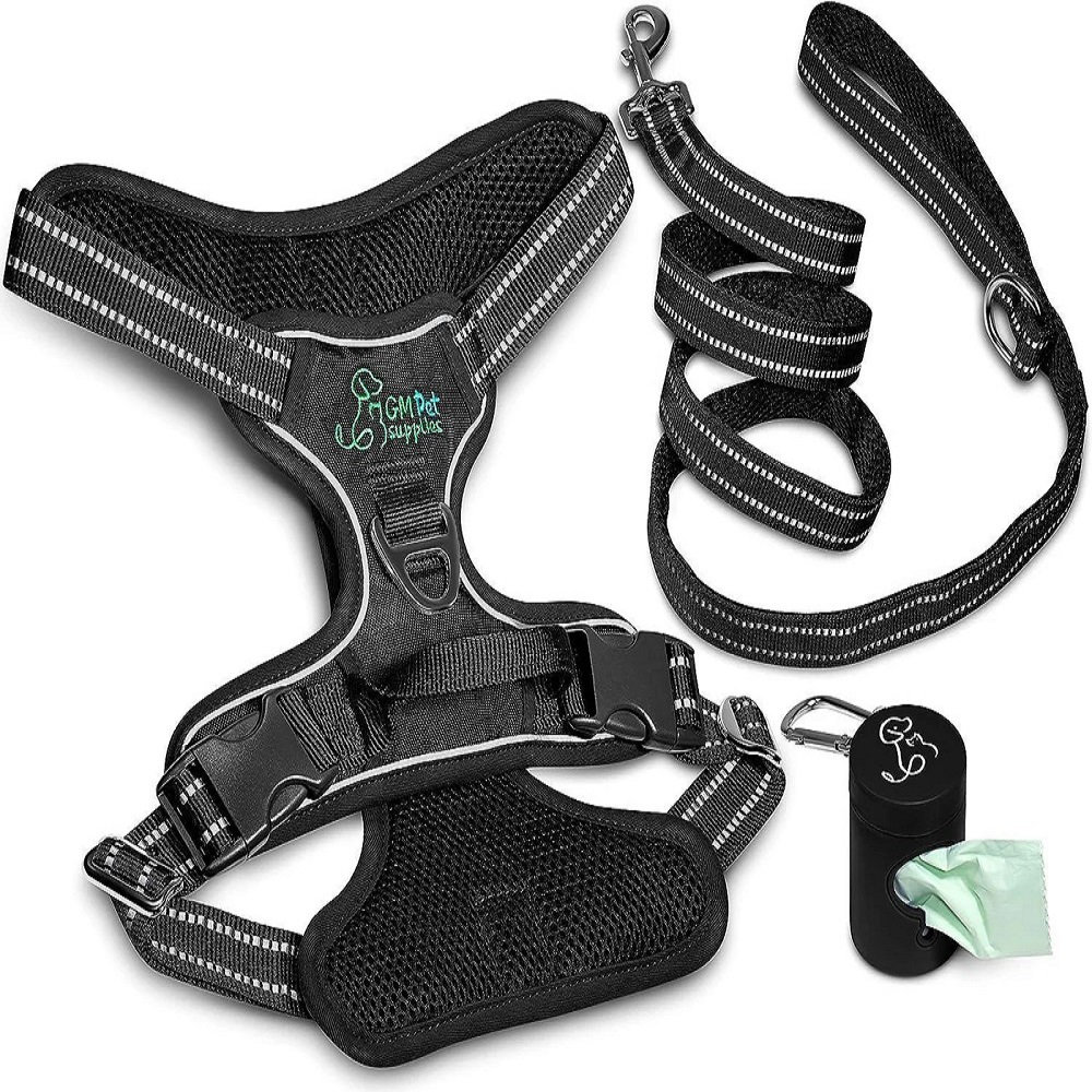 Katziela Dog Harness Walking kit and Leash Set | Wayfair