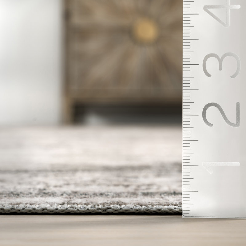 Lauren Liess x Rugs USA Rosewood Vintage Machine Washable Area Rug ...