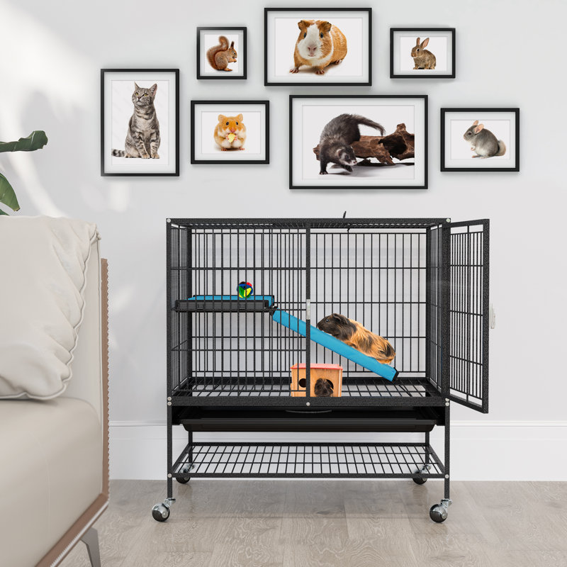 Tucker Murphy Pet™ Crislynn Small Animal Portable Cage with Ramp | Wayfair