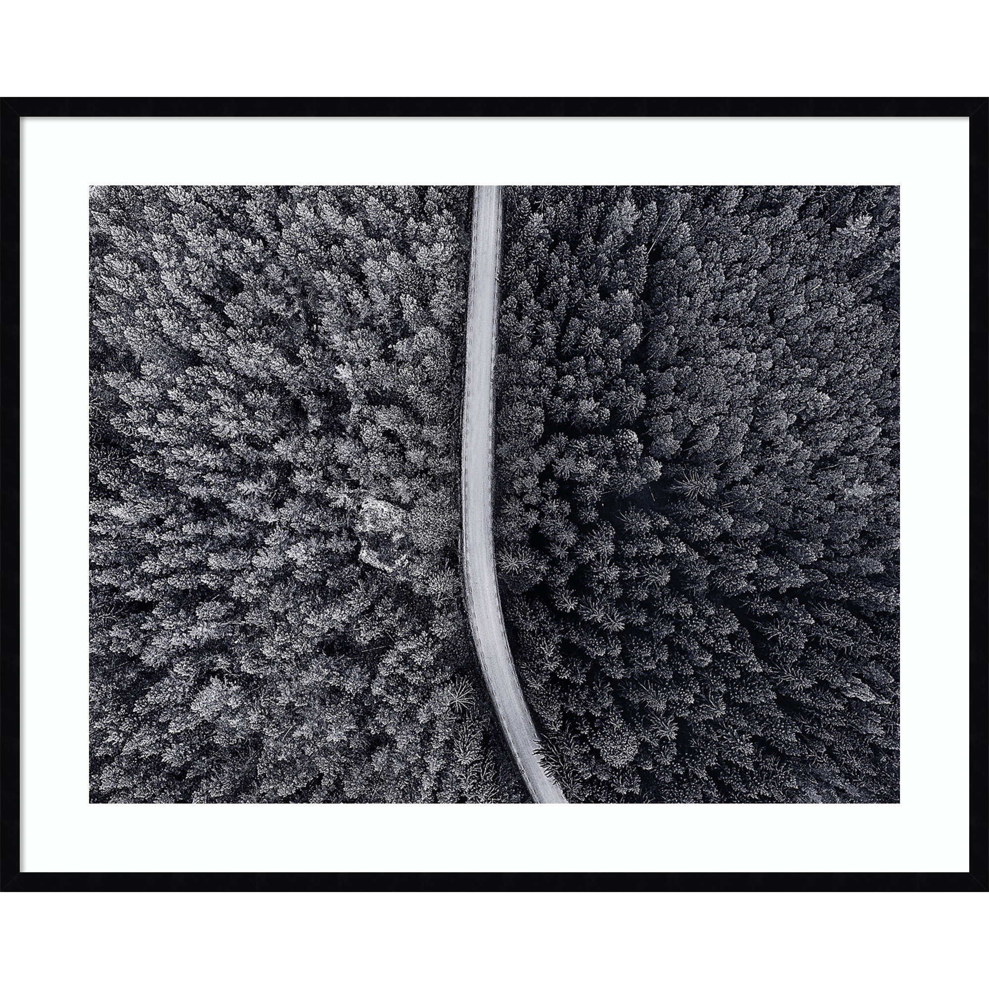 Birch Lane™ Mallard Divided Forest By Christian Lindsten - Picture ...