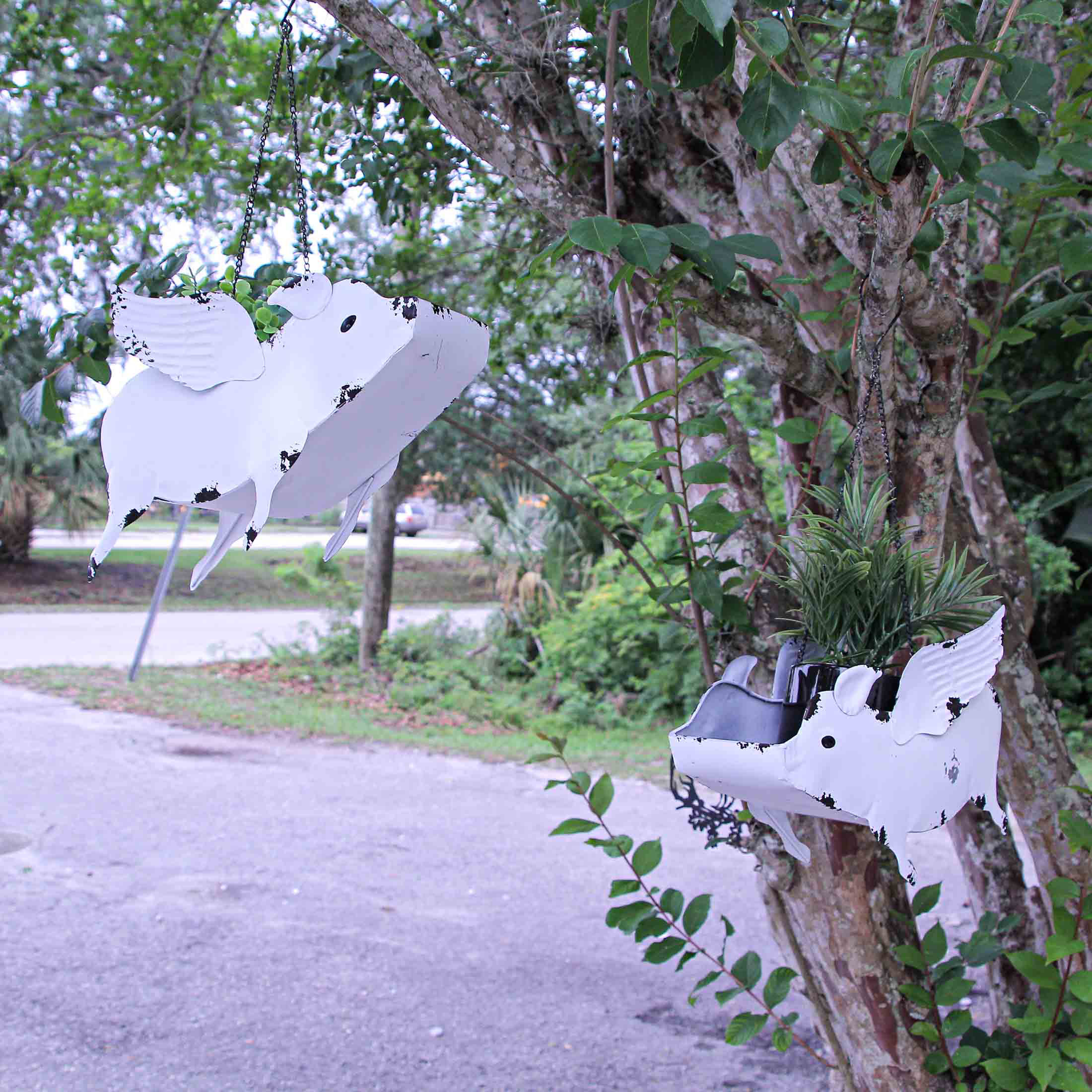August Grove Set Of 2 Antique White Finish Metal Flying Pig Hanging ...