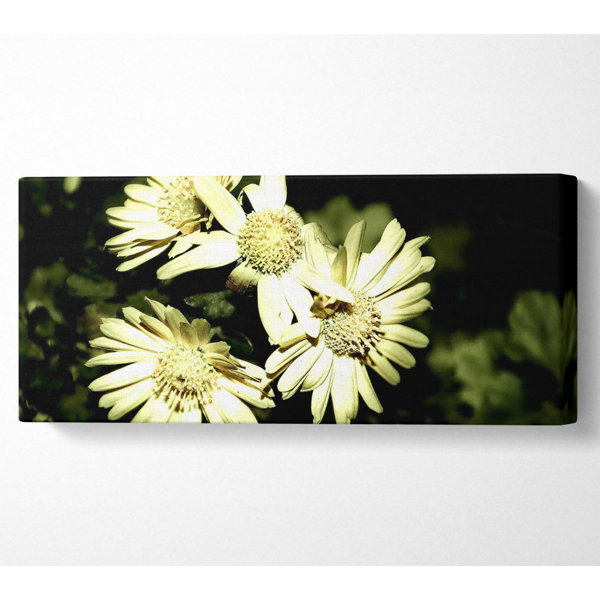 Ebern Designs Sepia Beauty - Wrapped Canvas Art Prints | Wayfair.co.uk