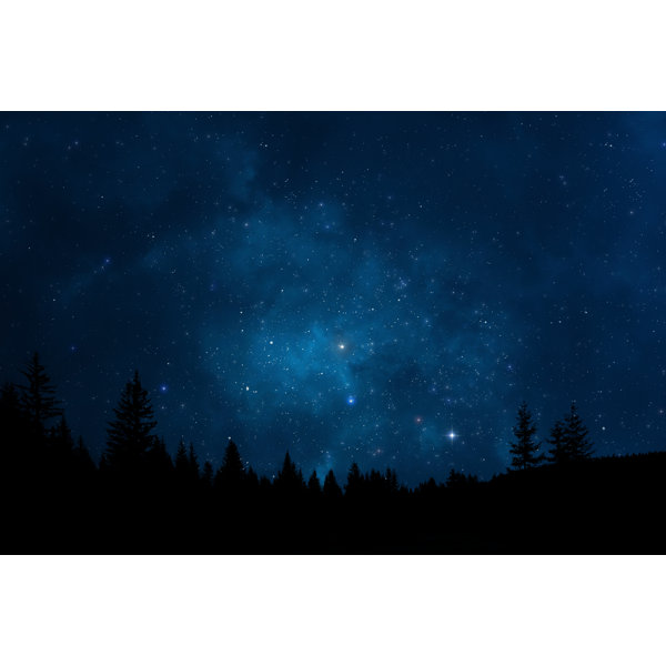 Union Rustic Night Sky Landscape - Wrapped Canvas Print | Wayfair.co.uk