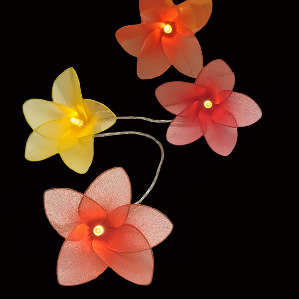 17 Stories Cal LED Sheer Daisy String Light / 20 Lamps - 6 Metre Long ...