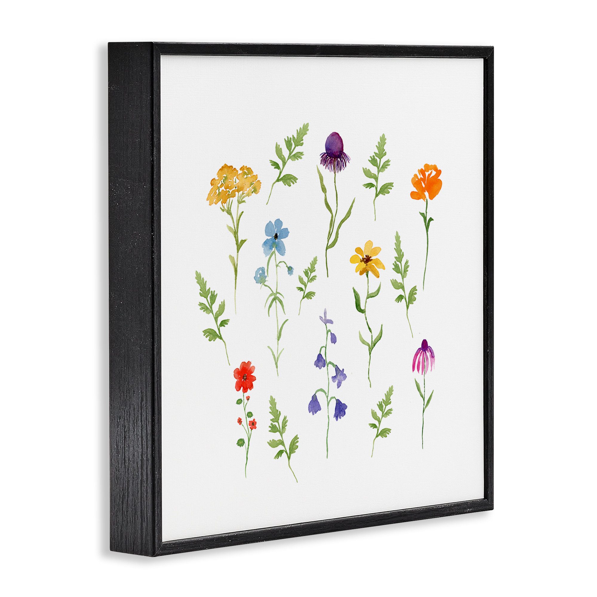 Ophelia & Co. Various Cottage Herbs Framed Giclee Art by Corinne Rose ...