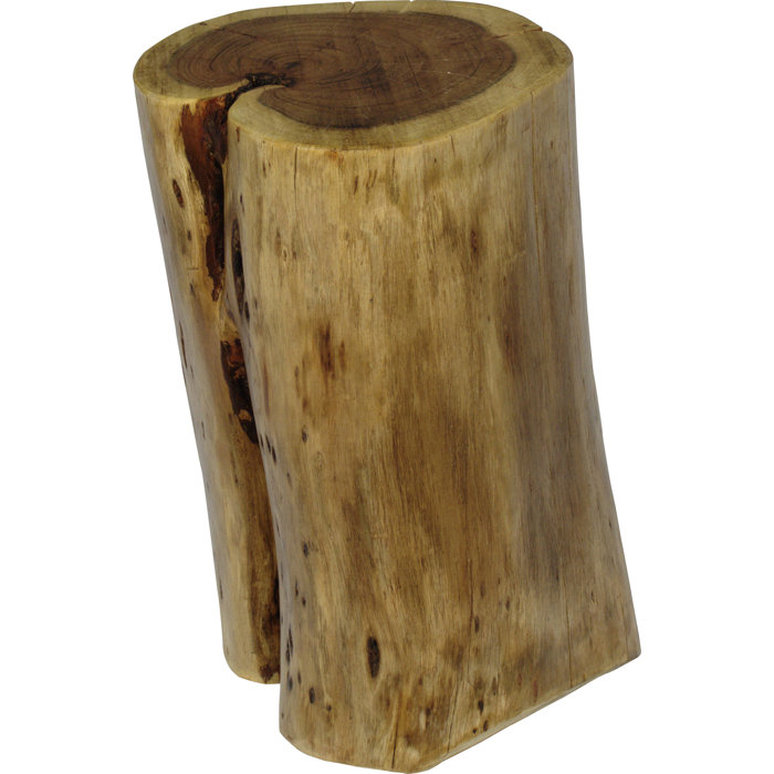 Union Rustic Wingfield Solid Wood Tree Stump End Table & Reviews | Wayfair