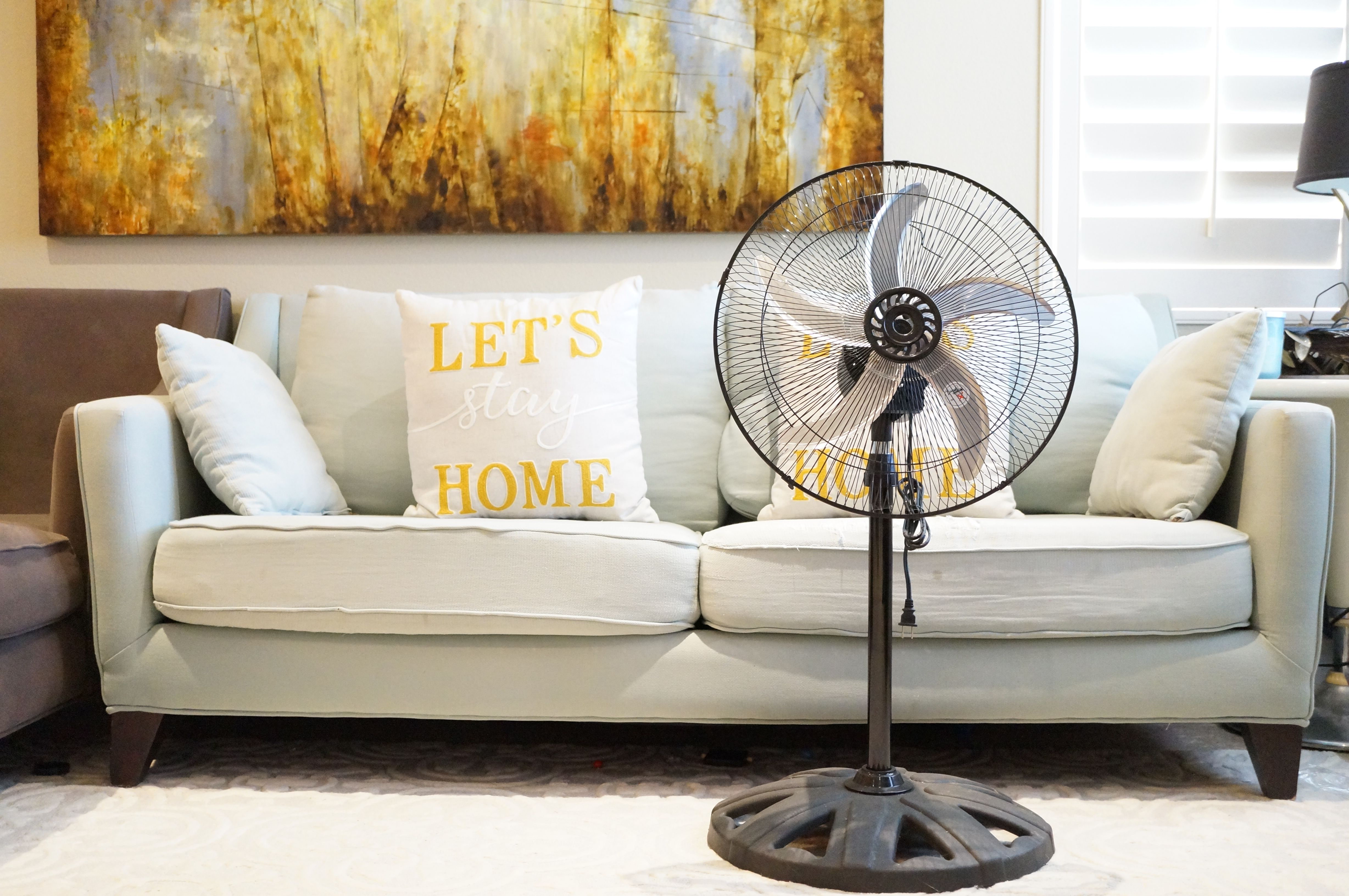 ZOOM 50" Oscillating Pedestal/Standing Fan & Reviews | Wayfair