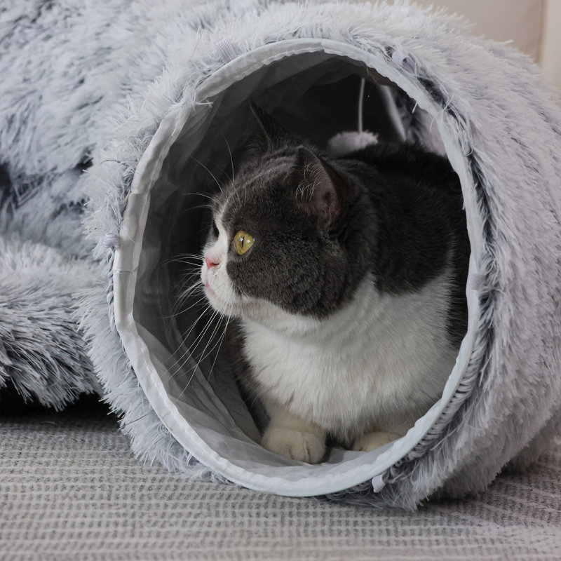 Archie & Oscar™ Cat Tunnel With Cat Bed For Indoor Cats ...