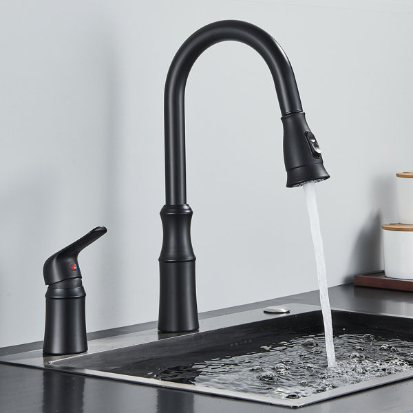 AlenArtWater Pull Out Kitchen Faucet | Wayfair