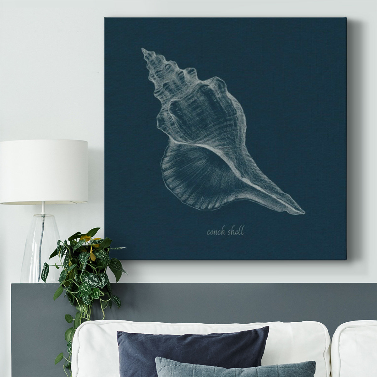 Dovecove Shell Study On Teal I On Canvas Print | Wayfair
