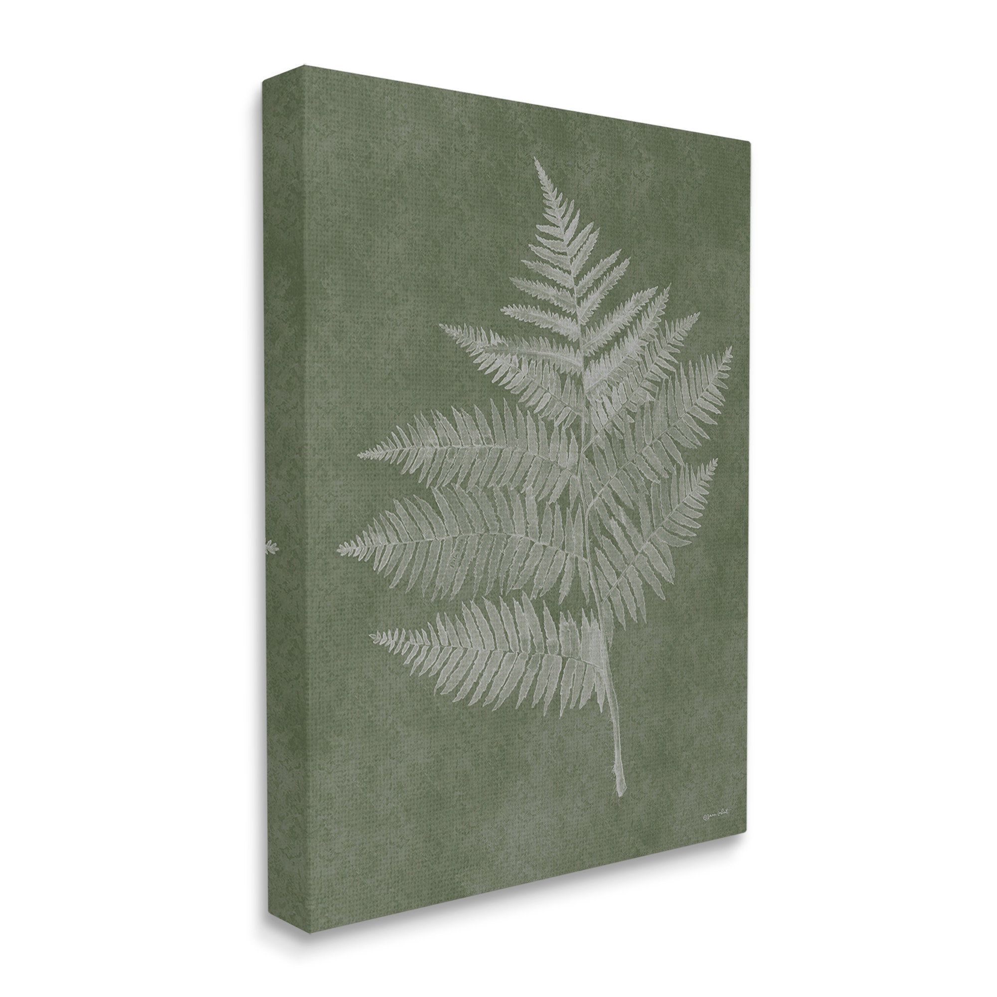 Winston Porter " Asymmetrical Fern Plant " by Annie LaPoint on Canvas ...