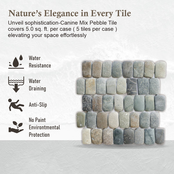 b.o.i Florida 12" x 12" Natural Stone Random Pebble Mosaic Wall Tile ...