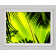 Bright Star Lime Palm Tree - Single Picture Frame Art Prints | Wayfair ...