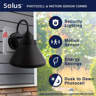 Solus Goose Outdoor Security Wall Mount Fixture with Dusk-to-Dawn and ...