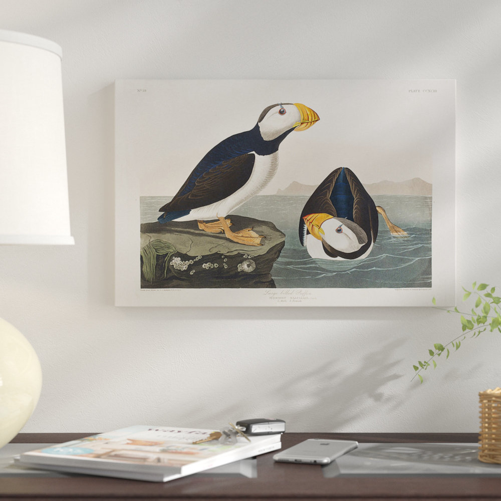 East Urban Home 'Large-Billed Puffin' Graphic Art Print on Canvas | Wayfair